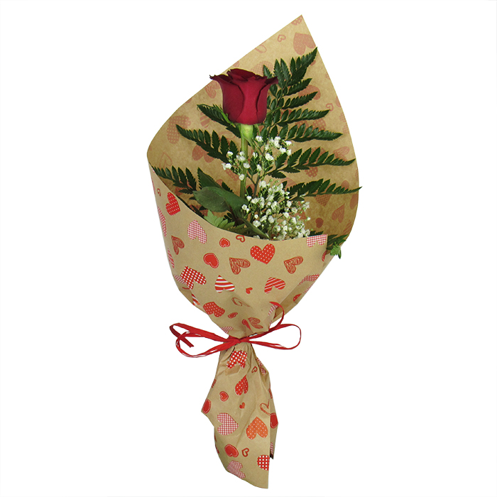 Rosa individual Kiss | Flowering