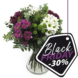 Ramo de Margaritas variadas | Flowering